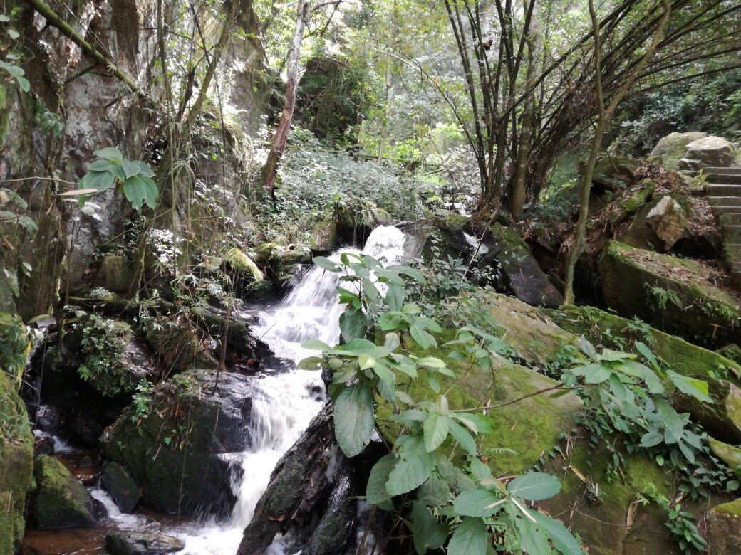 2025年5月Ijebu-Jesa景点攻略-Ijebu-Jesa旅游必去景点-Ijebu-Jesa景点大全-猫途鹰