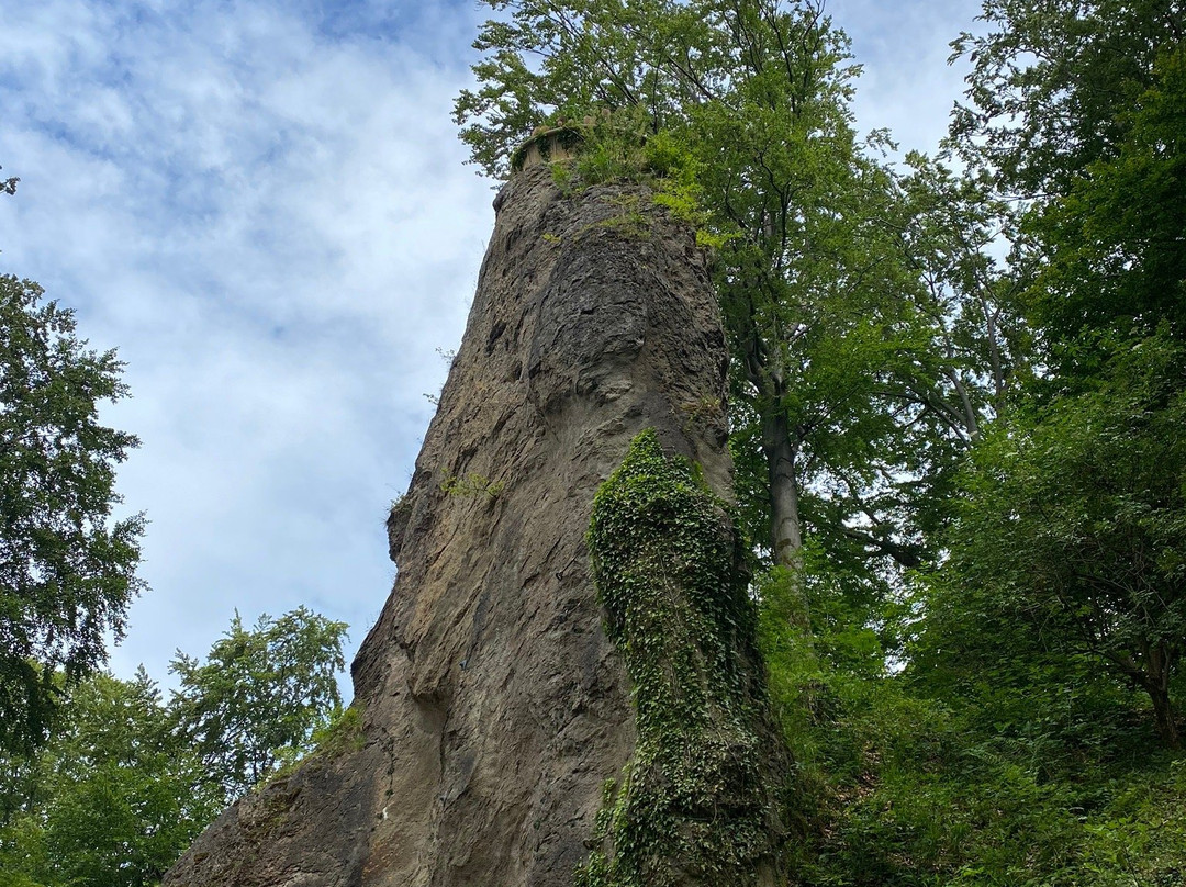 2024年10月Schloss & Park Altenstein景点攻略-Schloss & Park Altenstein门票预订|地址 ...