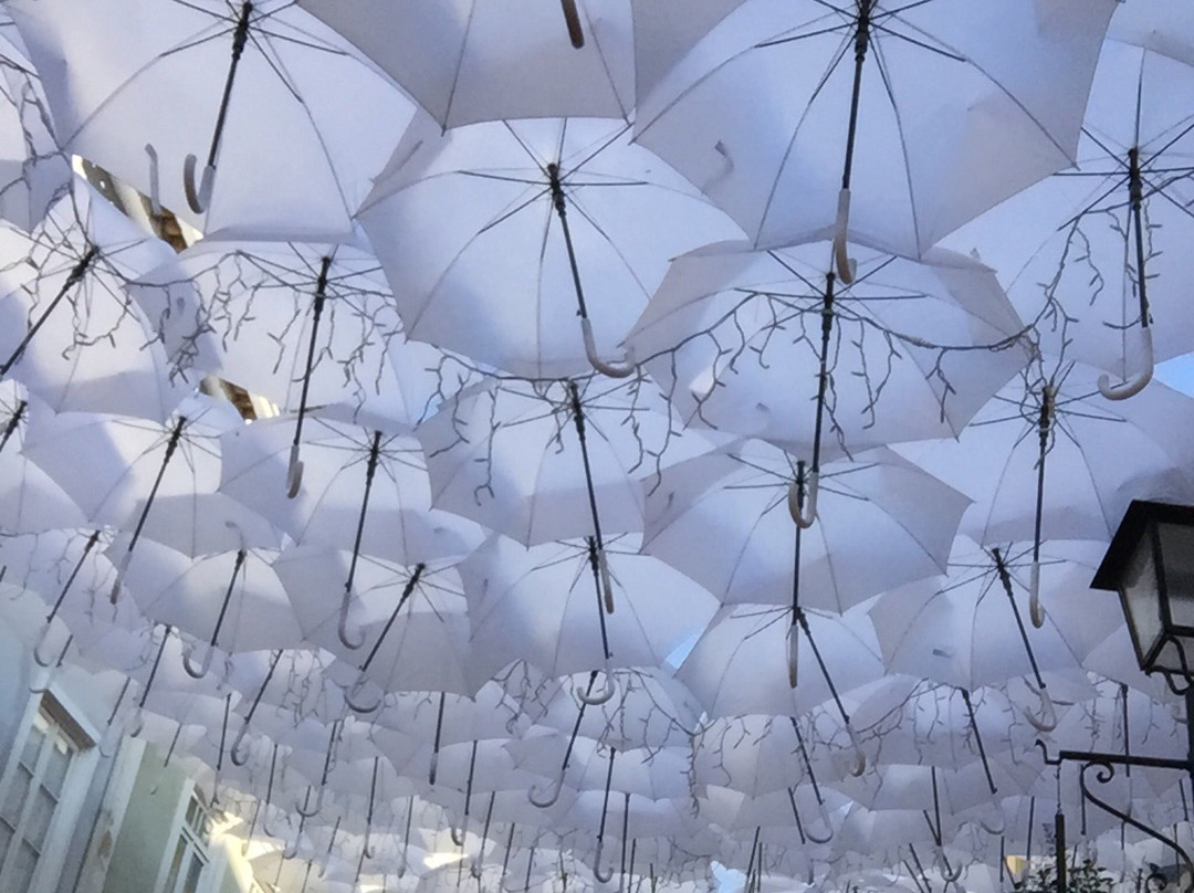 2023年11月Umbrella Sky Project景点攻略-Umbrella Sky Project门票预订|地址|图片 ...
