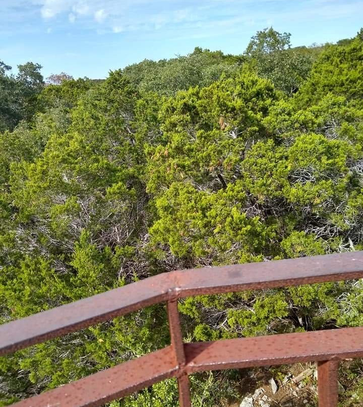 2024年2月Mother Neff State Park景点攻略-Mother Neff State Park门票预订|地址|图片 ...