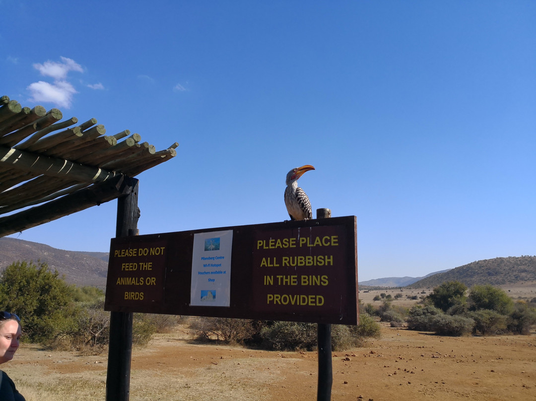 2025年3月Pilanesberg National Park景点攻略-Pilanesberg National Park门票预订|地址|图片-Pilanesberg National ...