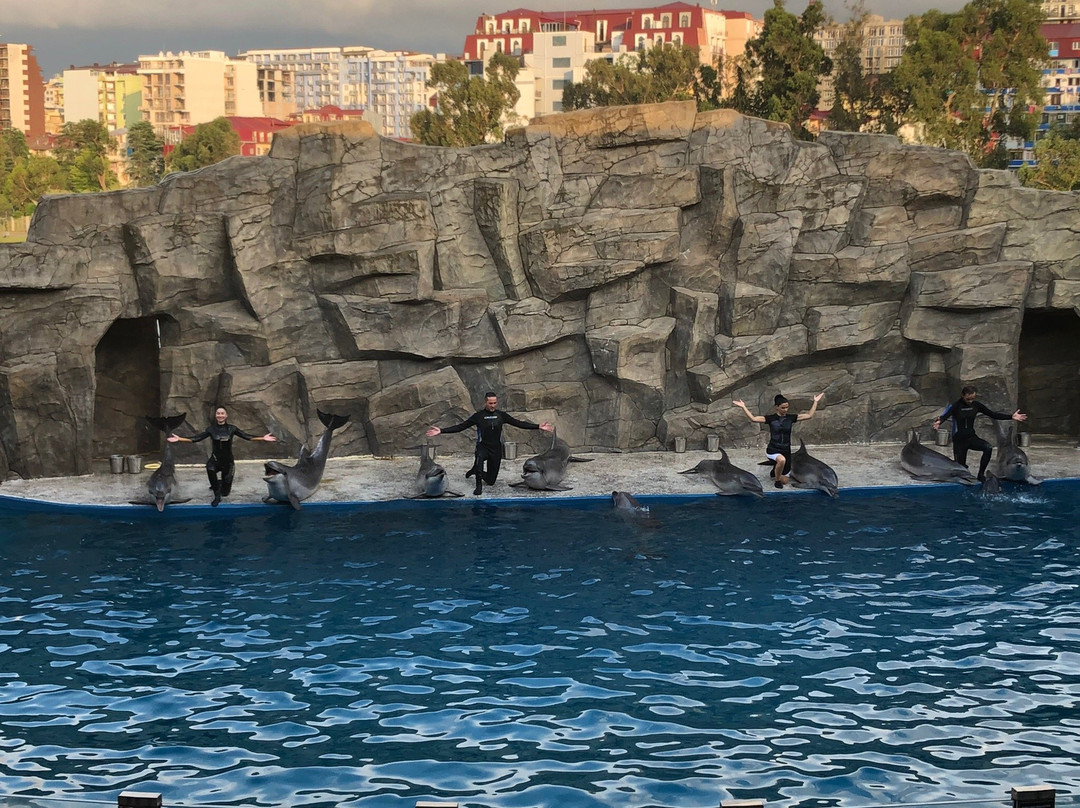 2025年3月Batumi Dolphinarium景点攻略-Batumi Dolphinarium门票预订|地址|图片-Batumi ...