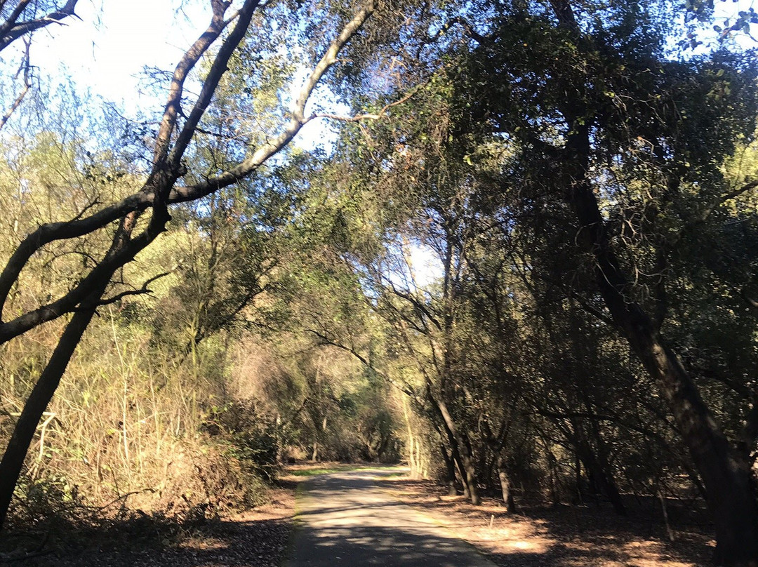 2024年9月Lodi Lake Park景点攻略-Lodi Lake Park门票预订|地址|图片-Lodi Lake Park景点点评-猫途鹰