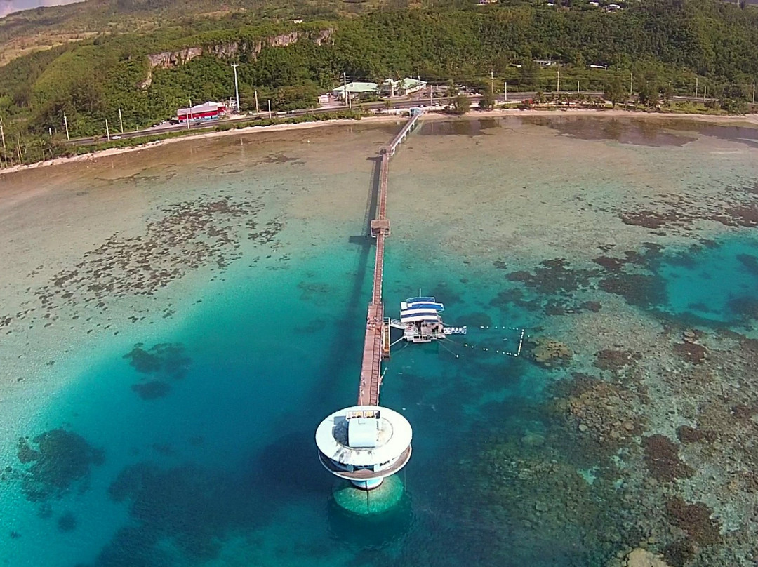 2024年7月Fish Eye Underwater Observatory景点攻略-Fish Eye Underwater ...