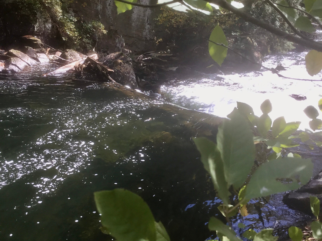 2025年5月Hawk Lake Log Chute景点攻略-Hawk Lake Log Chute门票预订|地址|图片-Hawk Lake ...