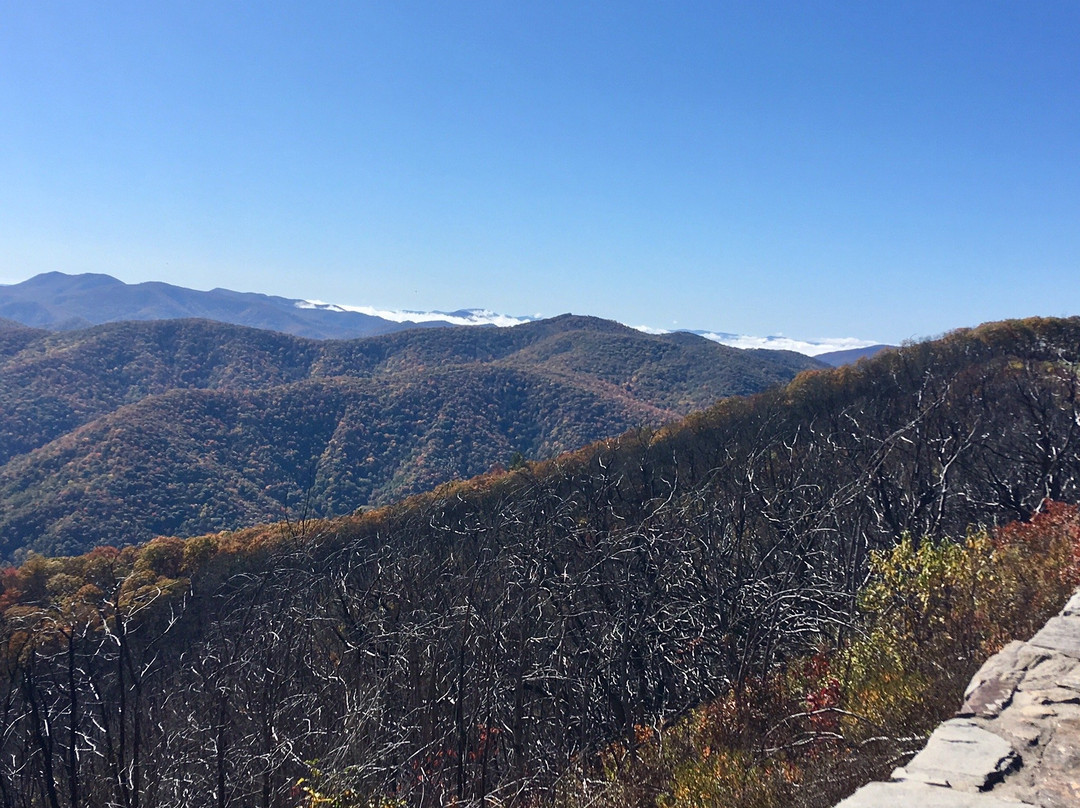 2024年3月Wayah Bald Lookout Tower景点攻略-Wayah Bald Lookout Tower门票预订|地址|图片 ...