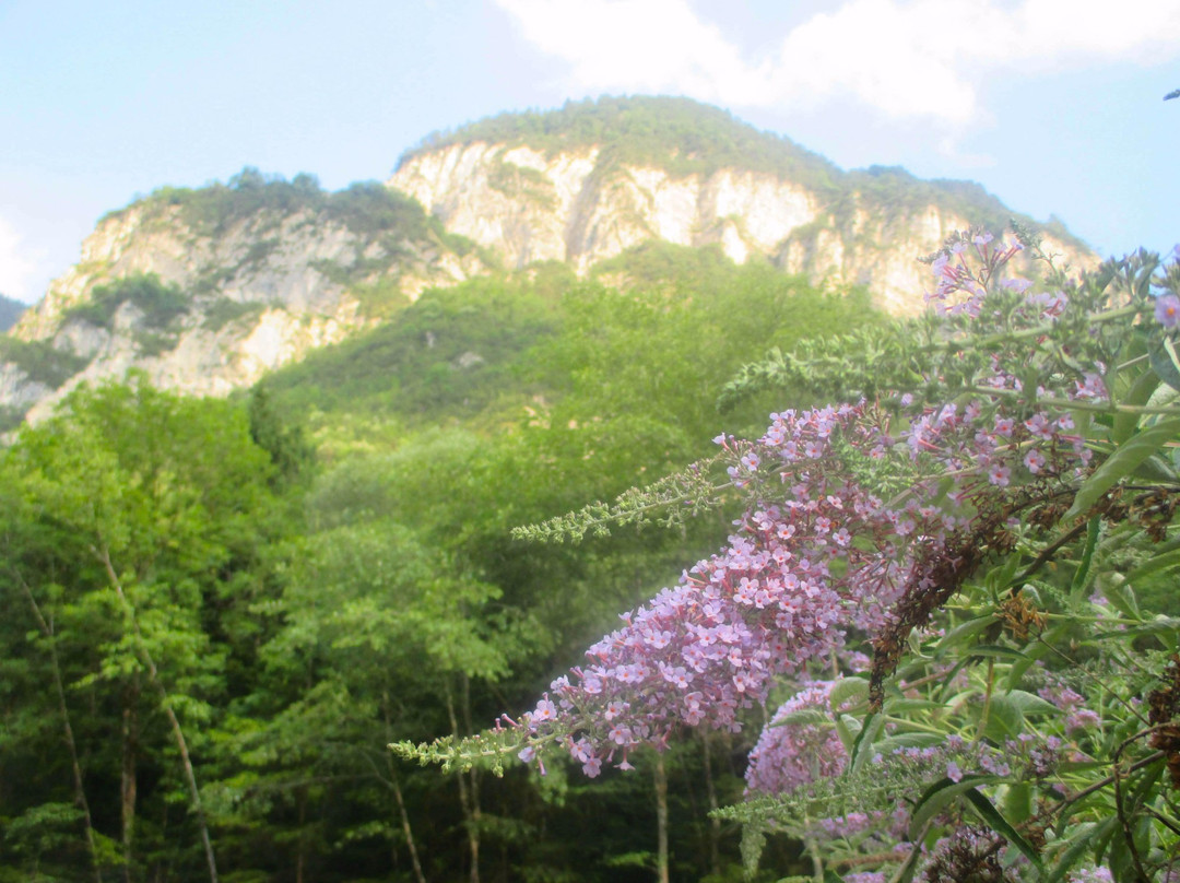 2025年5月Centa San Nicolo景点攻略-Centa San Nicolo旅游必去景点-Centa San Nicolo景点大全-猫途鹰