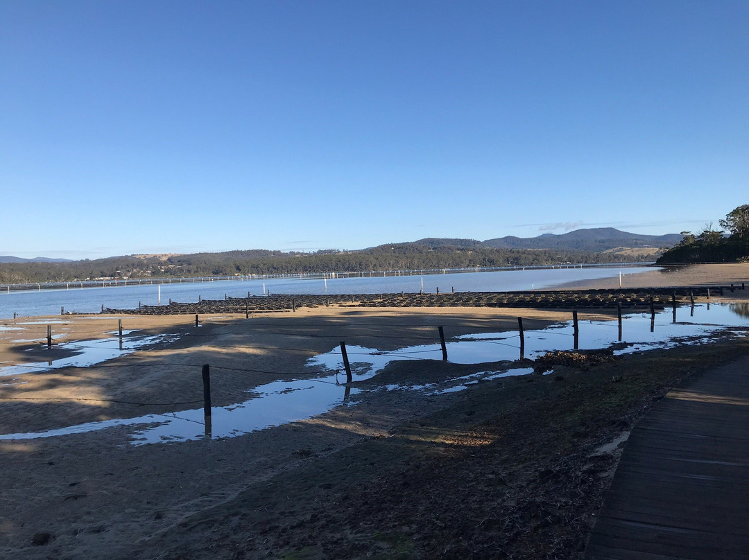 2025年2月The Merimbula Boardwalk景点攻略-The Merimbula Boardwalk门票预订|地址|图片 ...