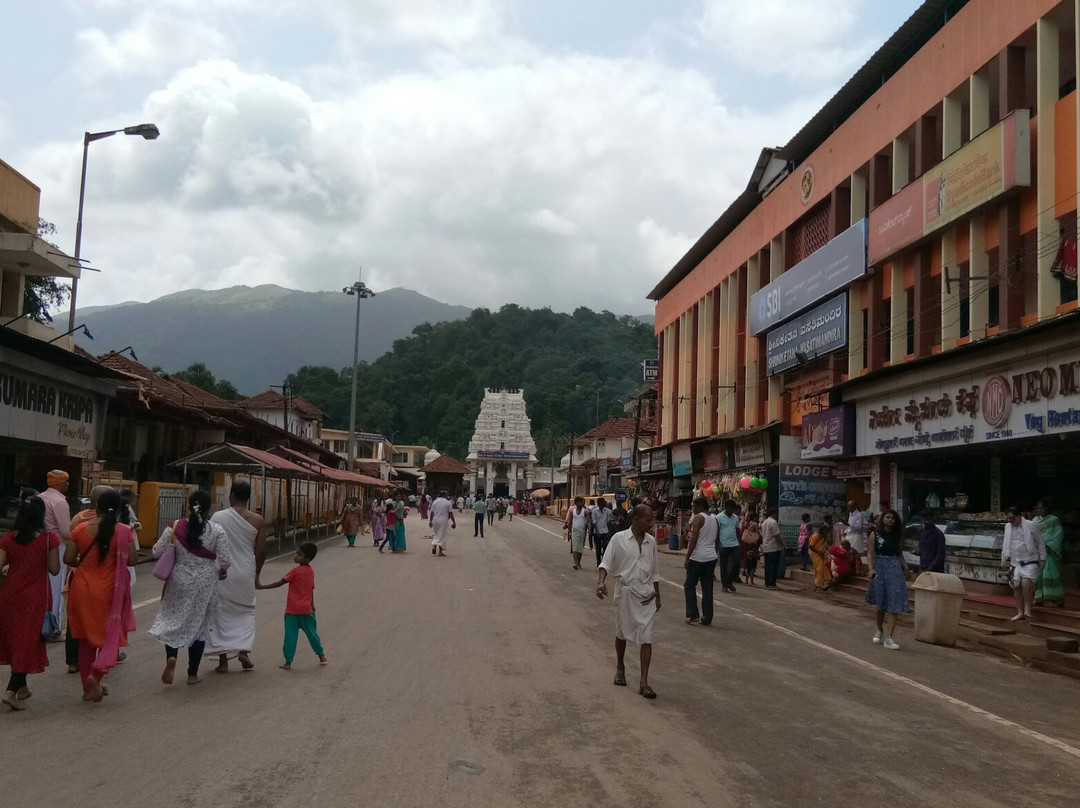 2023年11月Kukke Shree Subramanya Temple景点攻略-Kukke Shree Subramanya Temple ...