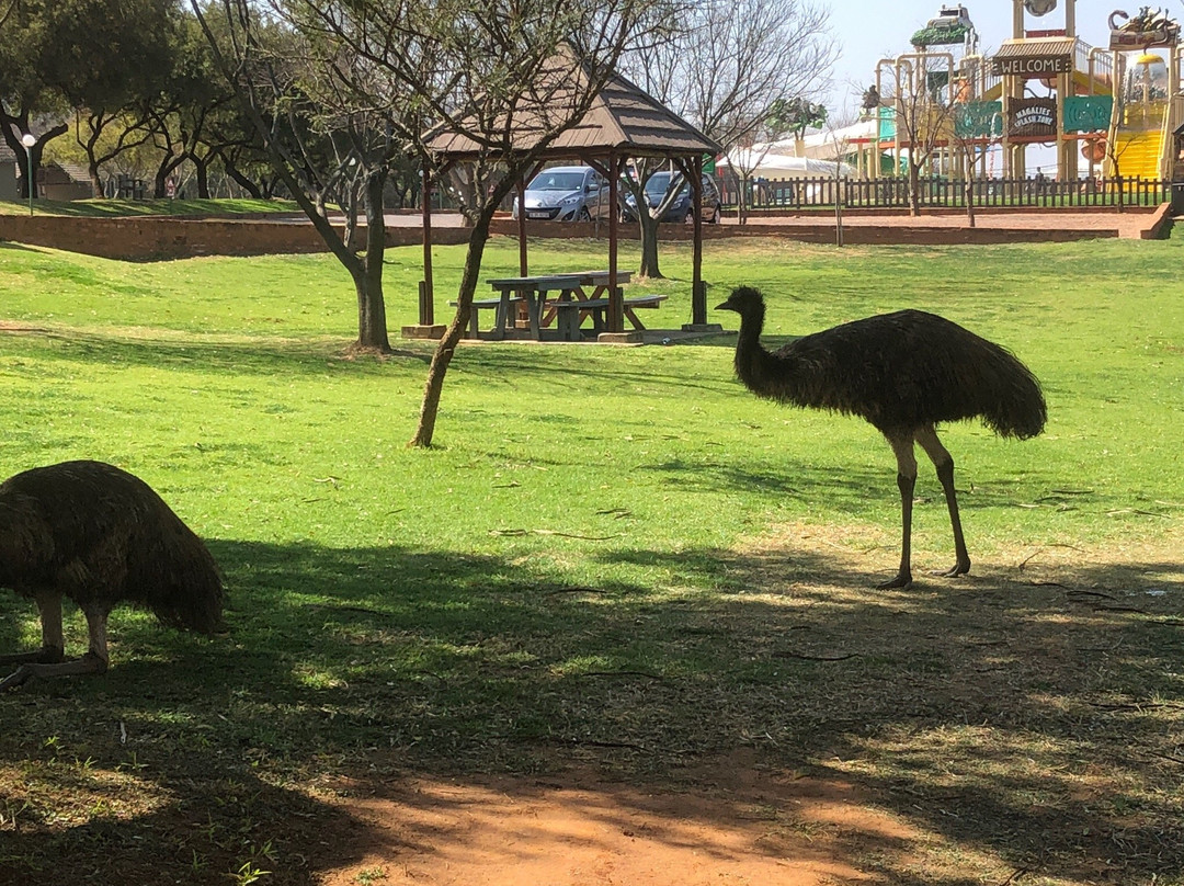 2025年1月Magalies Park Resort and Spa景点攻略-Magalies Park Resort and Spa门票 ...