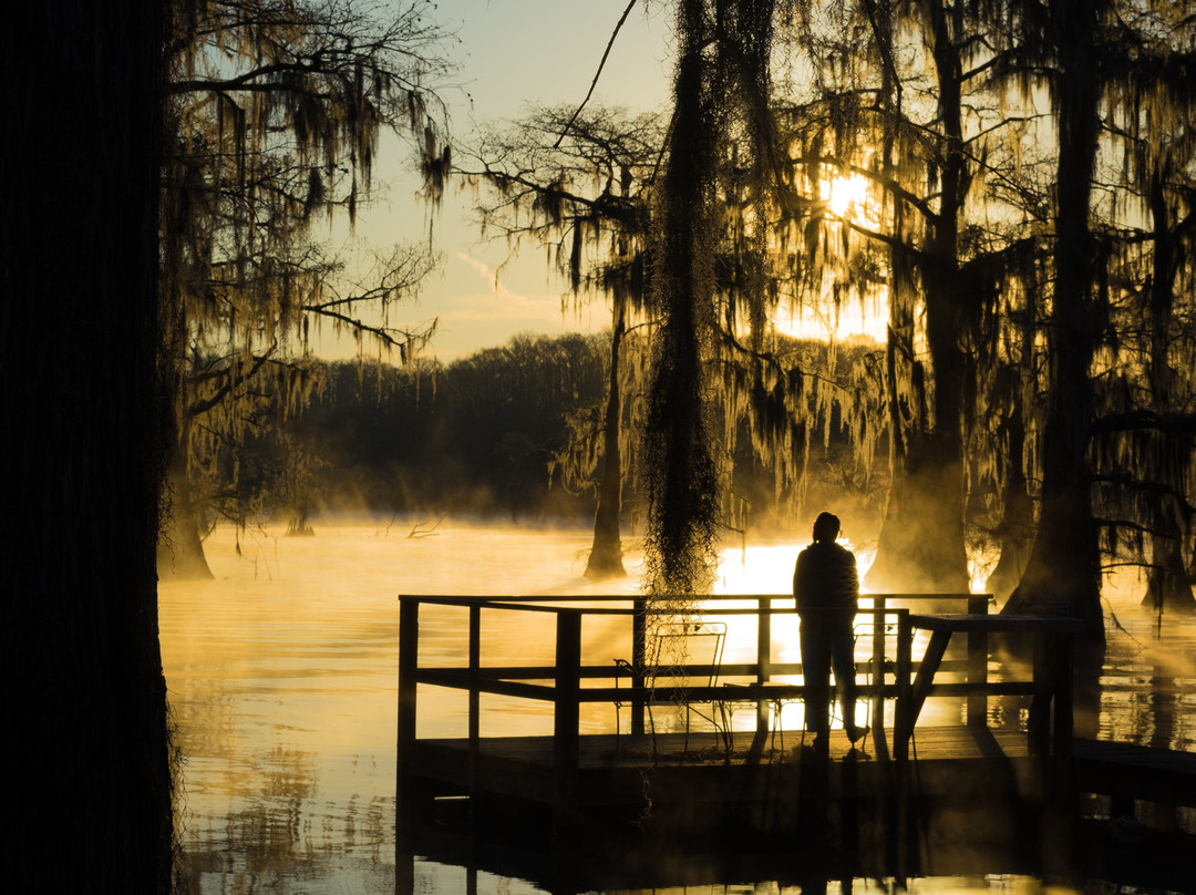 2023年11月Caddo Lake State Park景点攻略-Caddo Lake State Park门票预订|地址|图片-Caddo ...