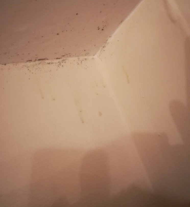 2023年North Cornelly旅游攻略 - 7North Cornelly酒店/景点/门票/美食/自助游/自驾/自由行/游玩攻略 ...