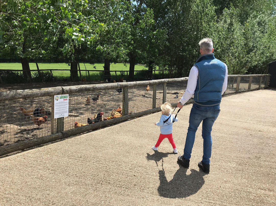 2023年12月Longdown Activity Farm景点攻略-Longdown Activity Farm门票预订|地址|图片 ...