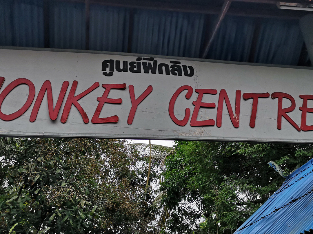 2024年6月Chiang Mai Monkey Centre景点攻略-Chiang Mai Monkey Centre门票预订|地址|图片 ...