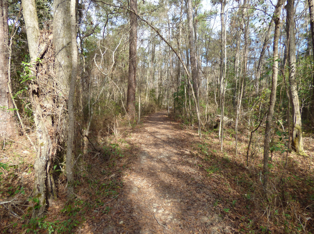 2025年2月Colleton State Park景点攻略-Colleton State Park门票预订|地址|图片-Colleton ...