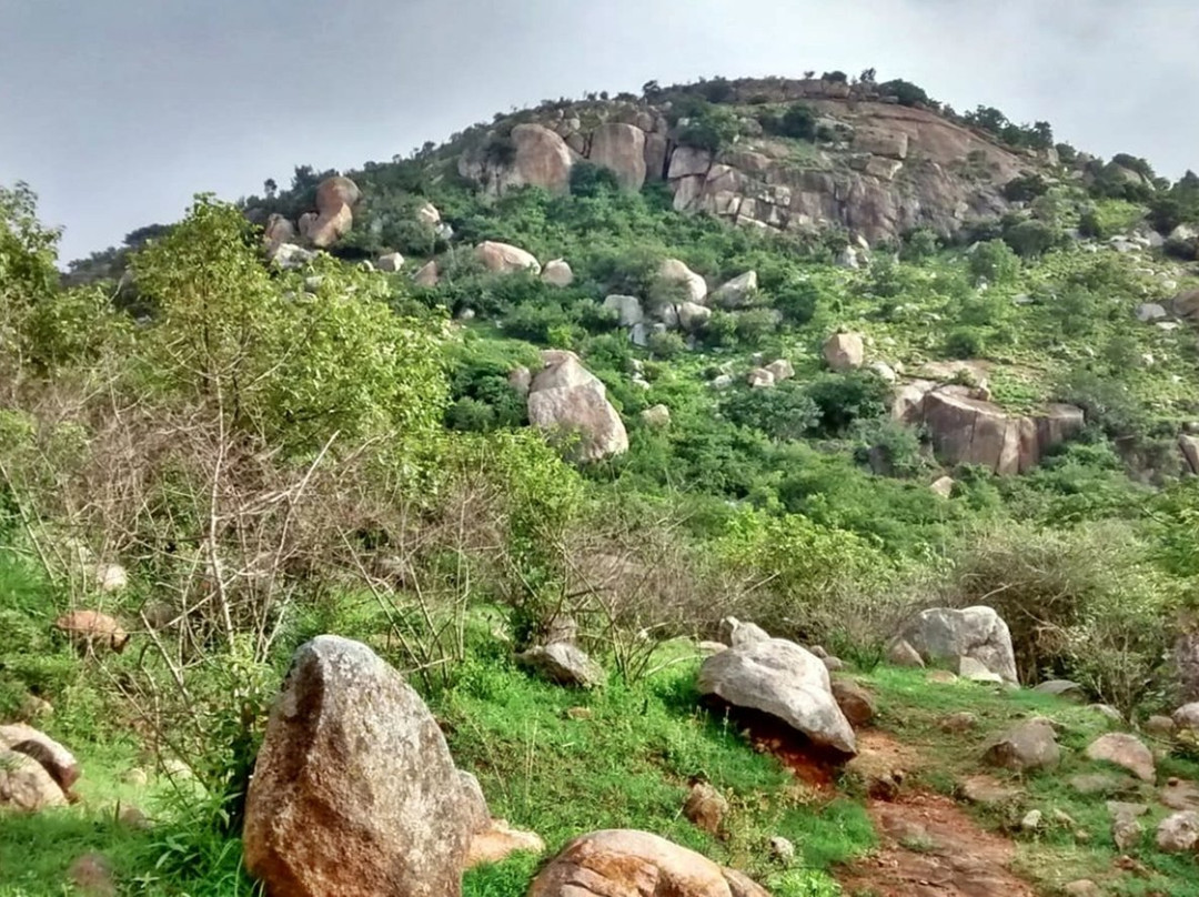 2023年11月Kalavara Durga (Skandagiri)景点攻略-Kalavara Durga (Skandagiri)门票预订 ...