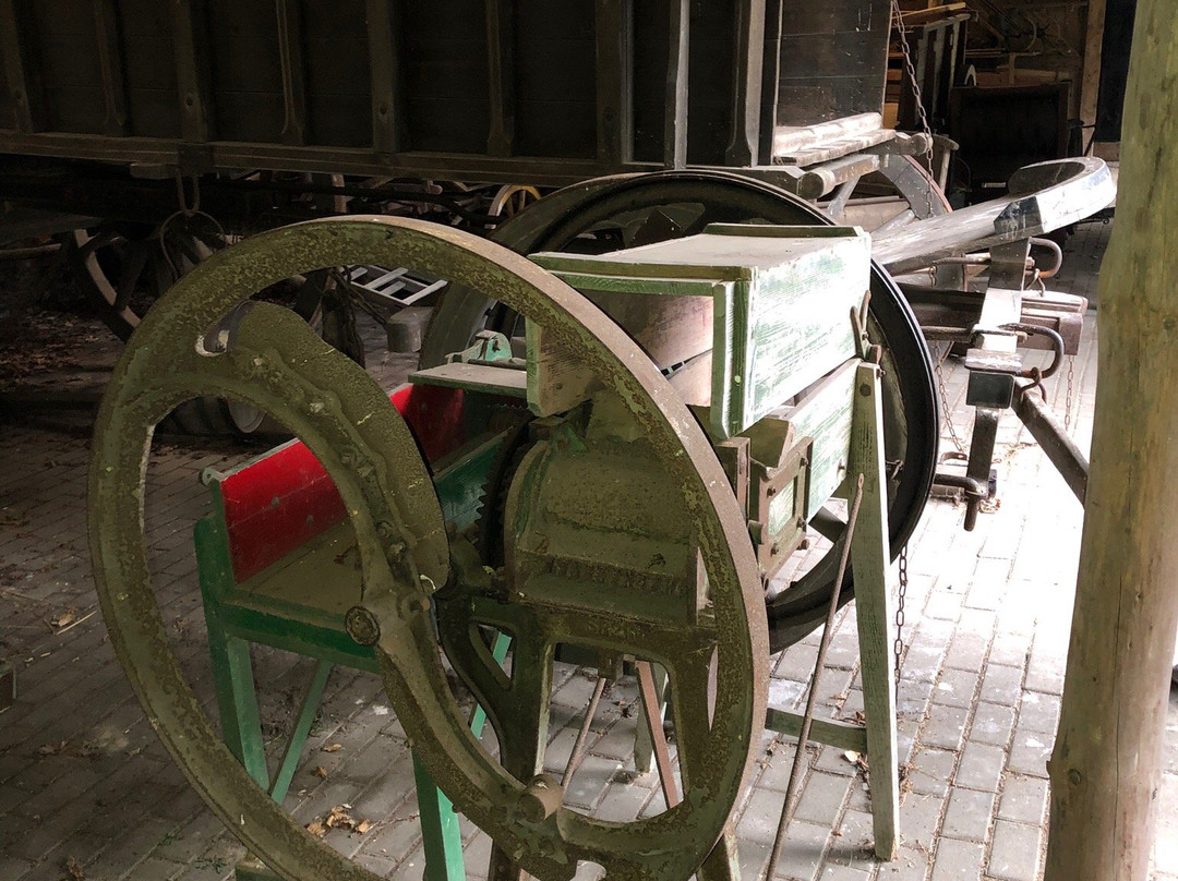 2023年12月Erve Kots景点攻略-Erve Kots门票预订|地址|图片-Erve Kots景点点评-猫途鹰