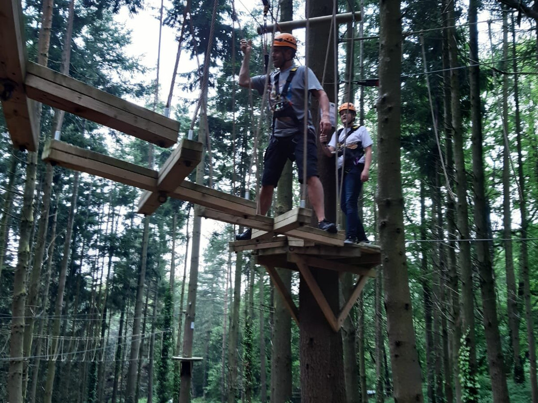 2024年12月The Tunnel Tree Tops High Ropes景点攻略-The Tunnel Tree Tops High ...