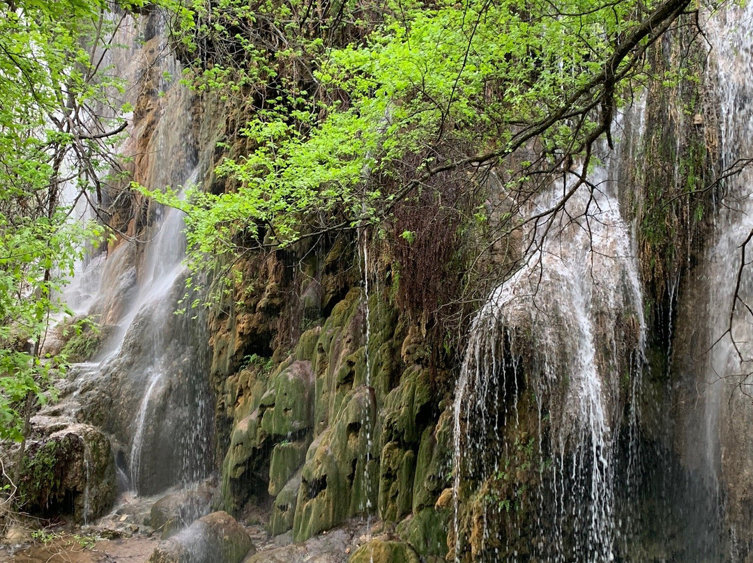 2024年11月Gorman Falls景点攻略-Gorman Falls门票预订|地址|图片-Gorman Falls景点点评-猫途鹰