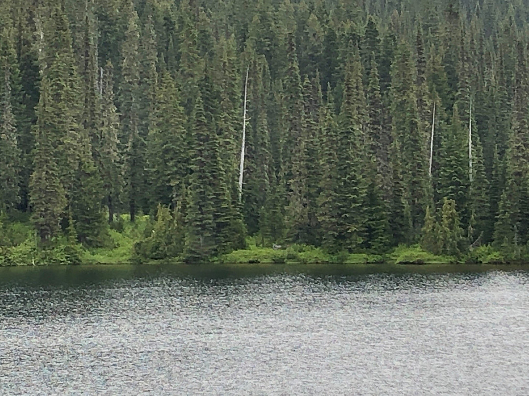 2025年3月Reflection Lakes景点攻略-Reflection Lakes门票预订|地址|图片-Reflection Lakes ...