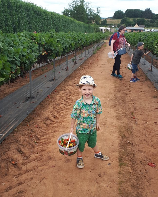 2025年3月Manor Farm Fruits景点攻略-Manor Farm Fruits门票预订|地址|图片-Manor Farm ...