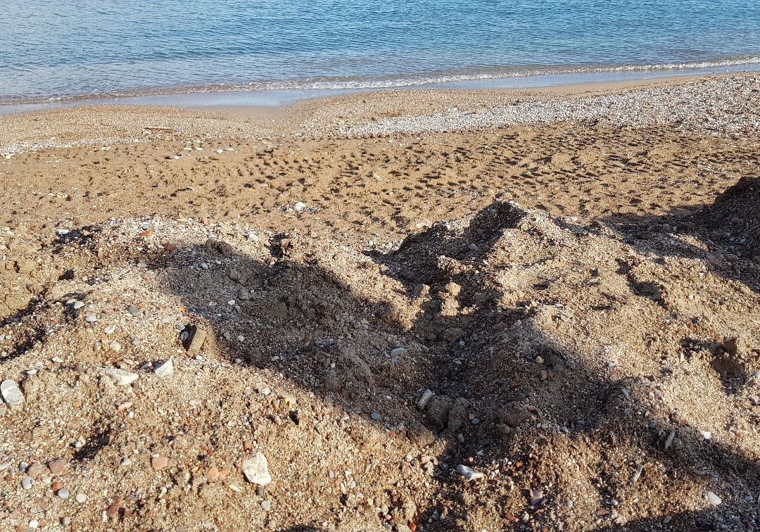 2024年10月Becici Beach景点攻略-Becici Beach门票预订|地址|图片-Becici Beach景点点评-猫途鹰