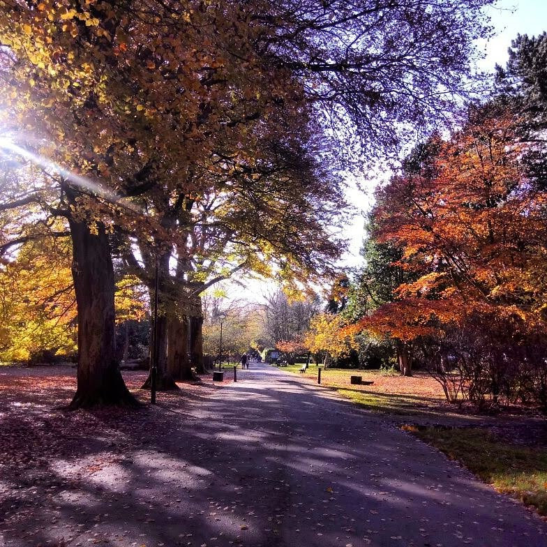 2024年11月Calderstones Park景点攻略-Calderstones Park门票预订|地址|图片-Calderstones ...