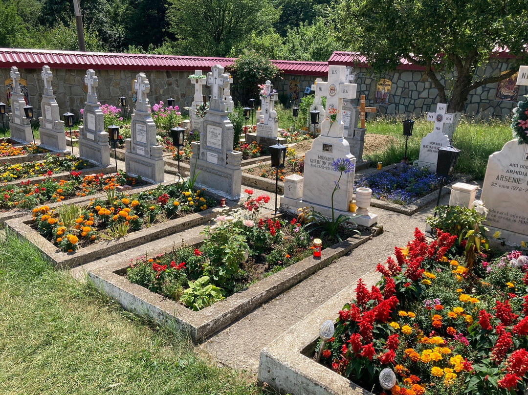 2024年12月Schiulesti景点攻略-Schiulesti旅游必去景点-Schiulesti景点大全-猫途鹰