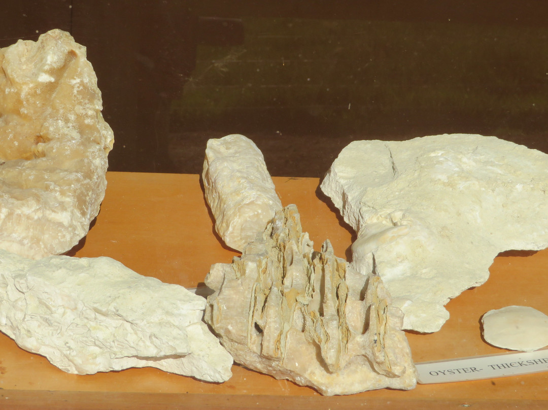 2023年11月Milburn Whale Fossils & Lookout景点攻略-Milburn Whale Fossils ...