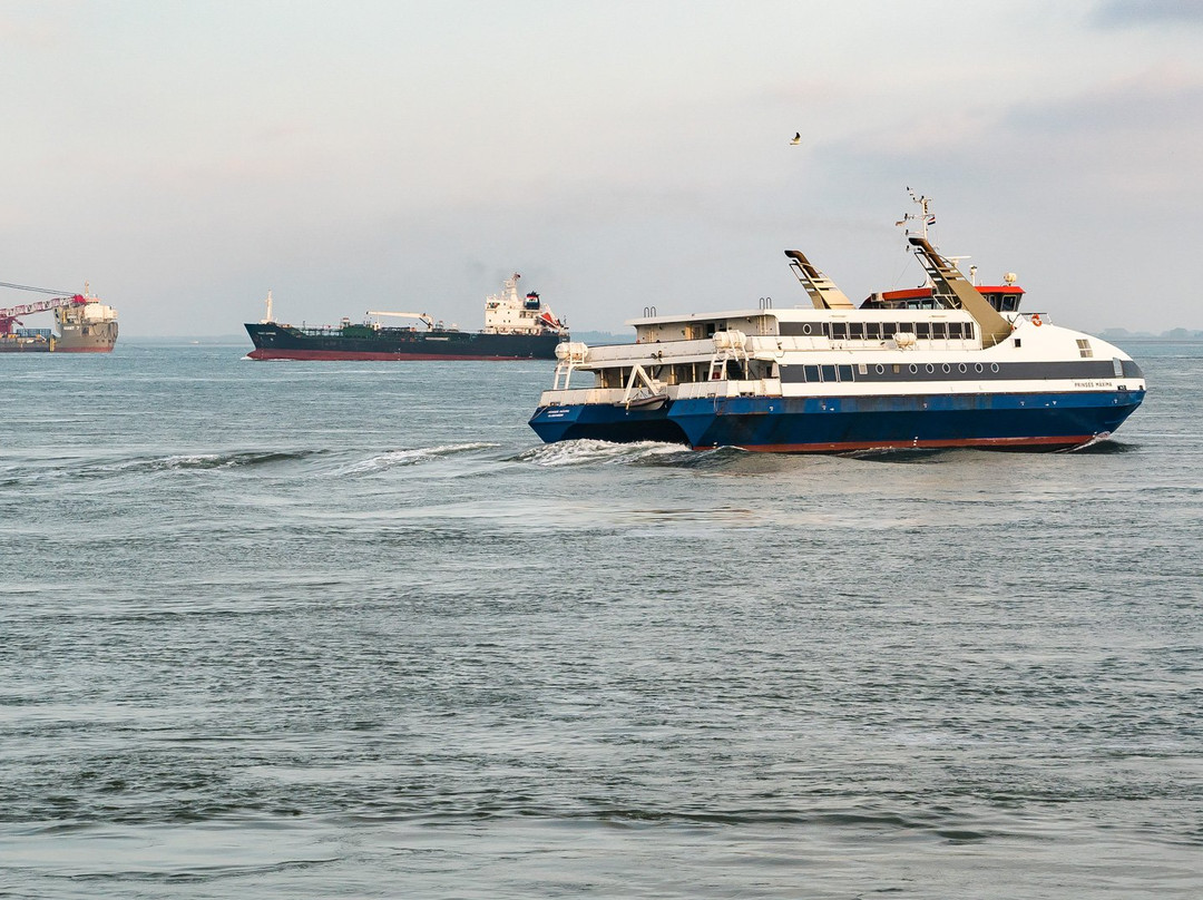 2023年11月Westerschelde Ferry景点攻略-Westerschelde Ferry门票预订|地址|图片 ...