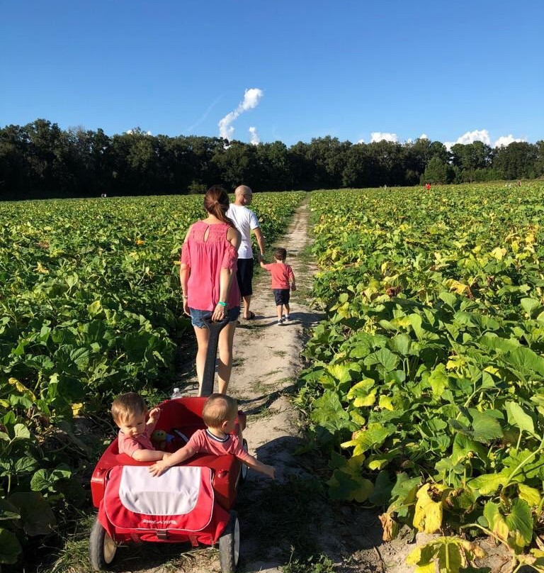 2023年12月The Pickin’ Patch景点攻略-The Pickin’ Patch门票预订|地址|图片-The Pickin ...