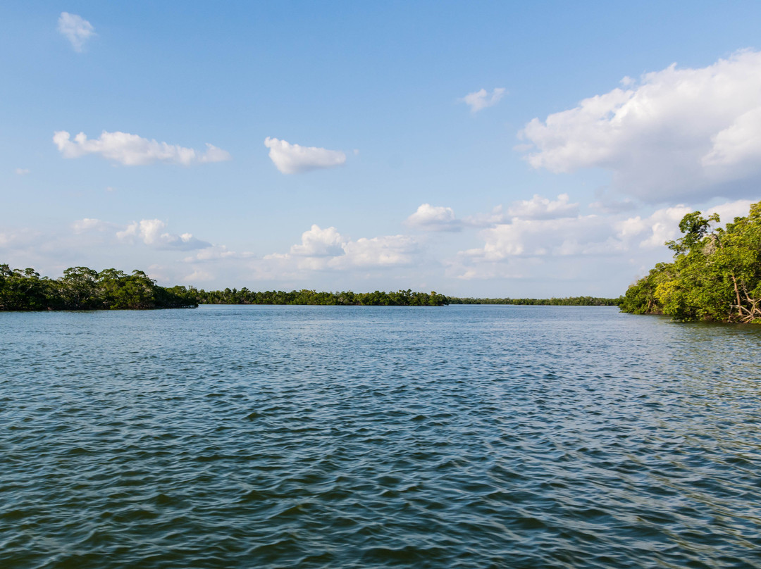 2023年12月Chokoloskee Bay景点攻略-Chokoloskee Bay门票预订|地址|图片-Chokoloskee Bay景点 ...