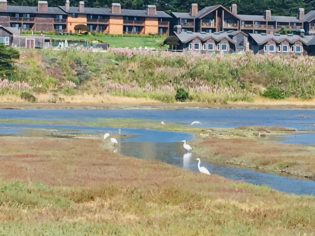 2024年12月Doran Beach景点攻略-Doran Beach门票预订|地址|图片-Doran Beach景点点评-猫途鹰