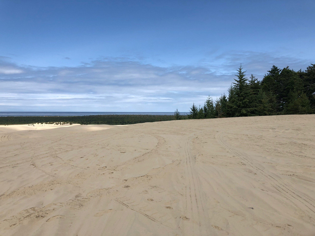 2023年11月Oregon Dunes National Recreation Area景点攻略-Oregon Dunes National ...