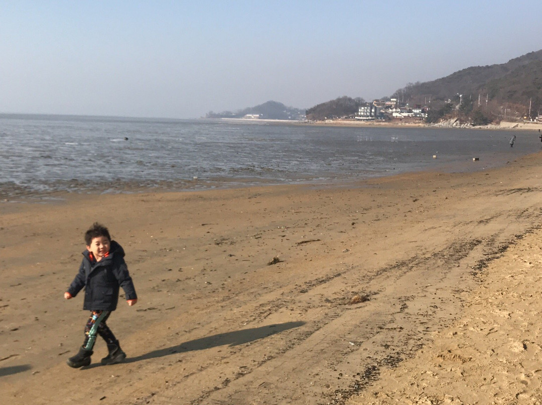 2024年8月Dongmak Beach景点攻略-Dongmak Beach门票预订|地址|图片-Dongmak Beach景点点评-猫途鹰