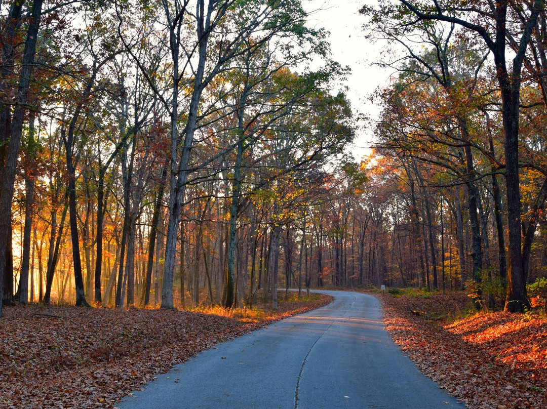 2025年12月Kinmundy旅游景点攻略-Kinmundy旅游住宿,-Kinmundy旅游美食-猫途鹰