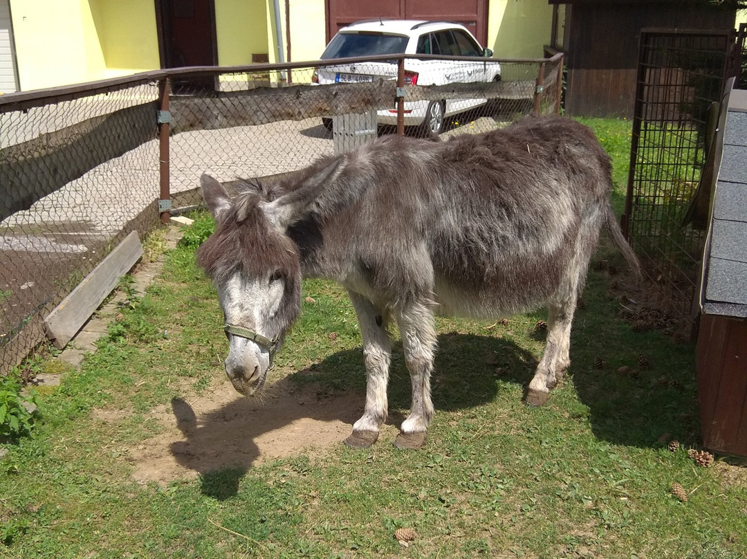 2024年4月Pencin旅游景点攻略-Pencin旅游住宿,-Pencin旅游美食-猫途鹰