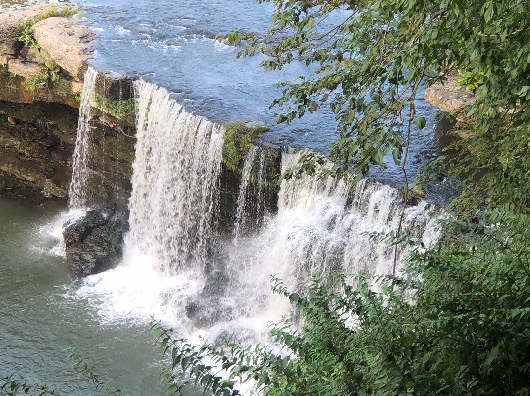 2024年1月Rock Island State Park景点攻略-Rock Island State Park门票预订|地址|图片-Rock ...