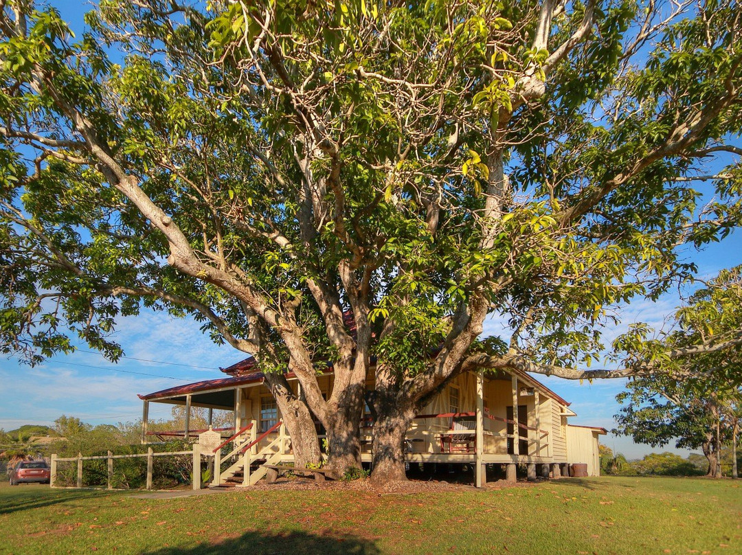 2024年11月Mayes Cottage Museum景点攻略-Mayes Cottage Museum门票预订|地址|图片-Mayes ...