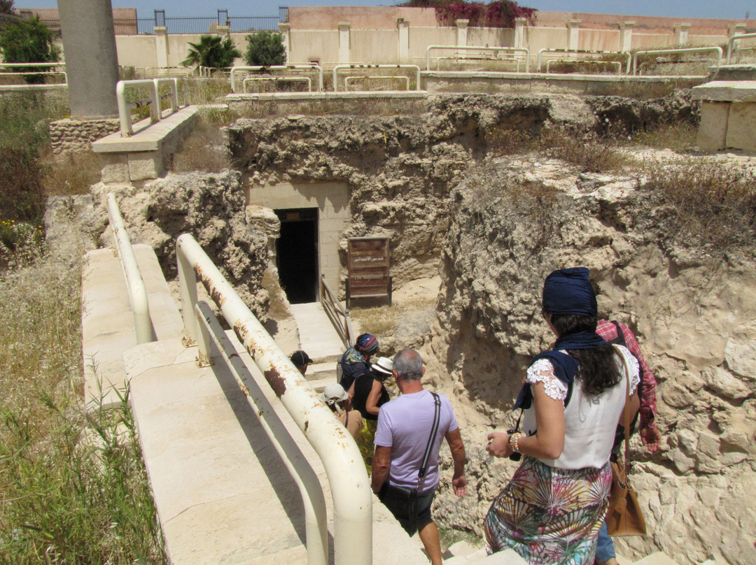 2024年7月Sarapeum (Serapeion)景点攻略-Sarapeum (Serapeion)门票预订|地址|图片-Sarapeum ...