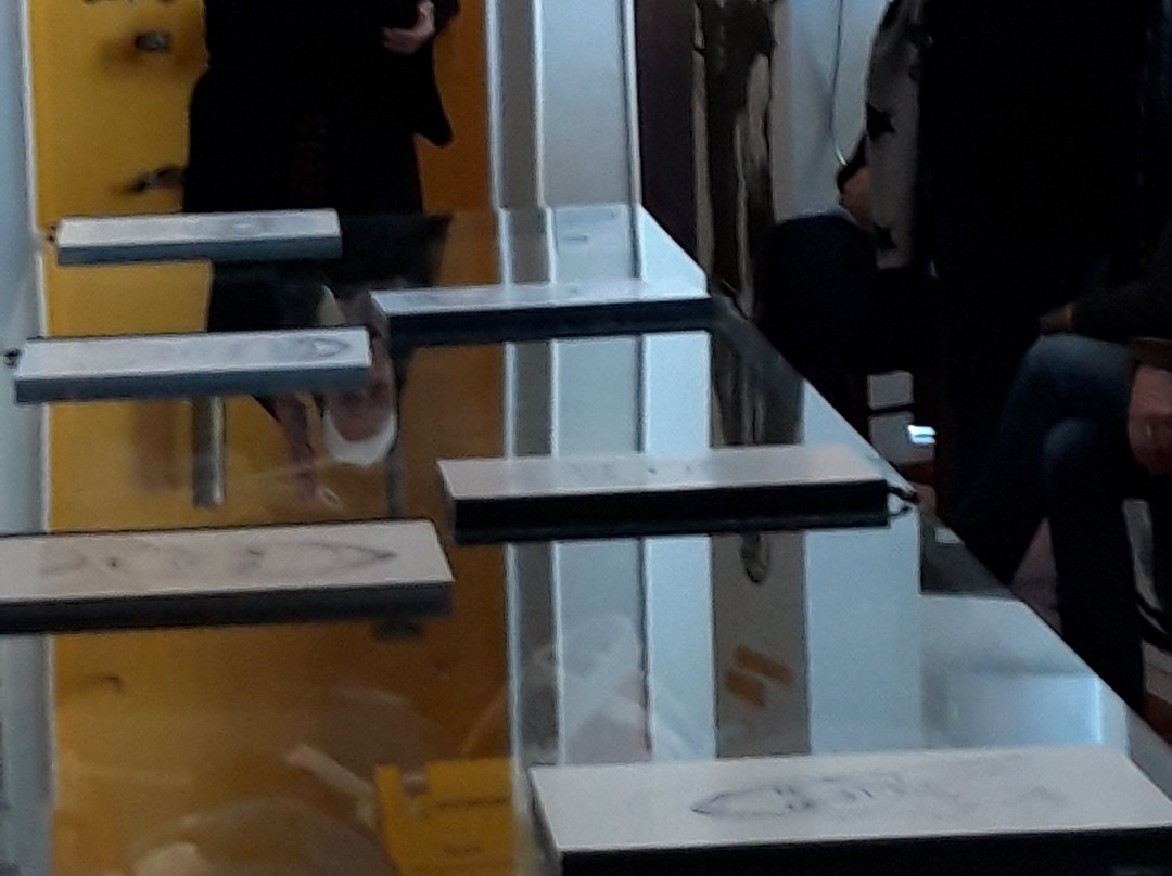 2023年12月Tildonk旅游景点攻略-Tildonk旅游住宿,-Tildonk旅游美食-猫途鹰