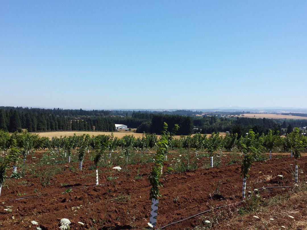 2024年3月Mehama旅游景点攻略-Mehama旅游住宿,-Mehama旅游美食-猫途鹰