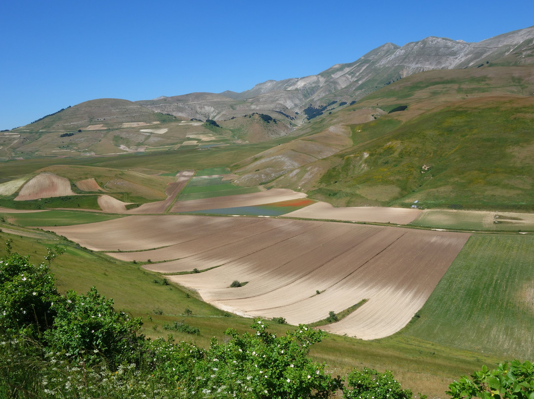 2024年9月Castelluccio di Norcia旅游景点攻略-Castelluccio di Norcia旅游住宿 ...