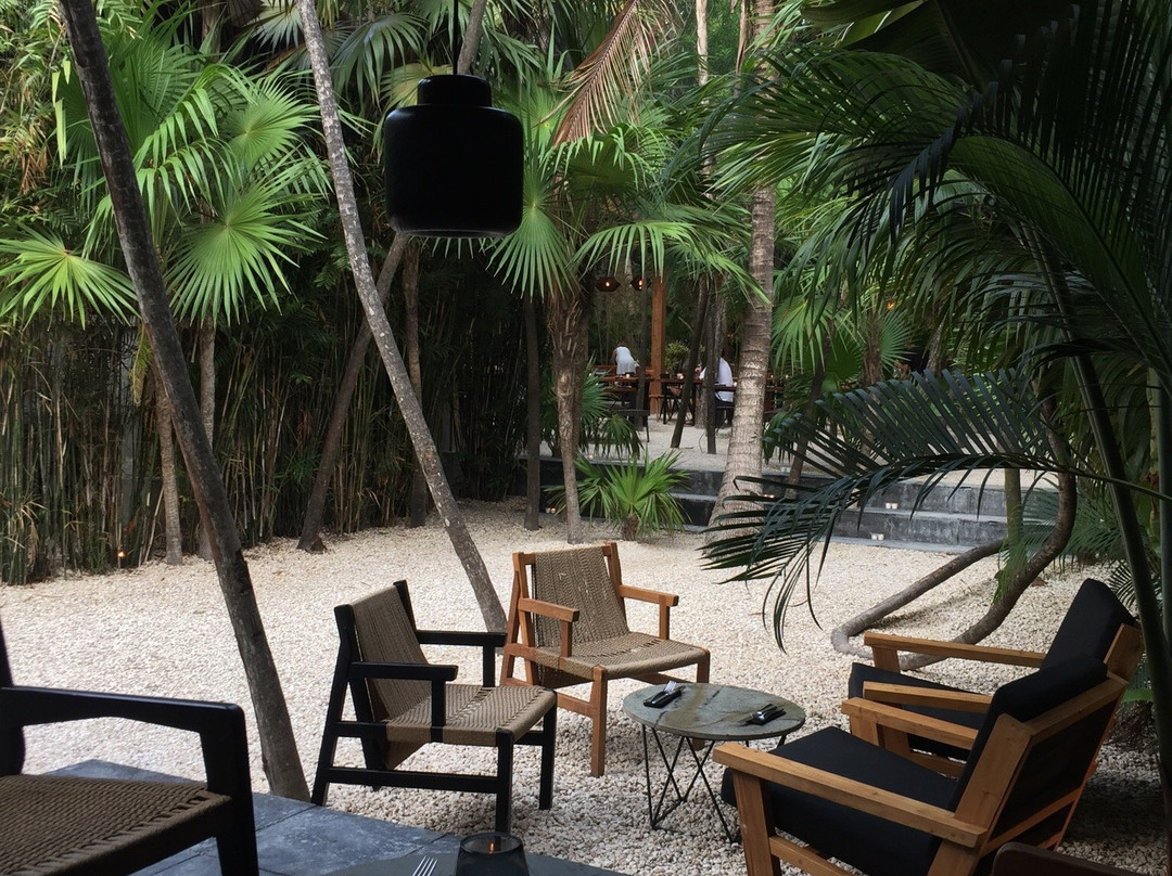 ARCA - (Tulum Beach)餐厅/美食点评 - 餐厅地址/餐厅电话/餐厅周边信息/餐厅推荐菜 - Tripadvisor猫途鹰