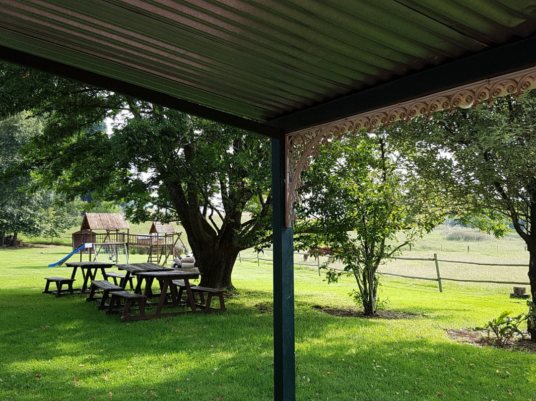 2024年1月Impendle旅游景点攻略-Impendle旅游住宿,-Impendle旅游美食-猫途鹰