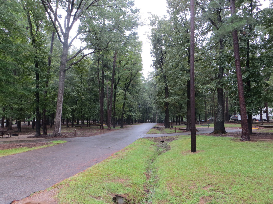 2024年2月Rocky Point Park景点攻略-Rocky Point Park门票预订|地址|图片-Rocky Point Park ...
