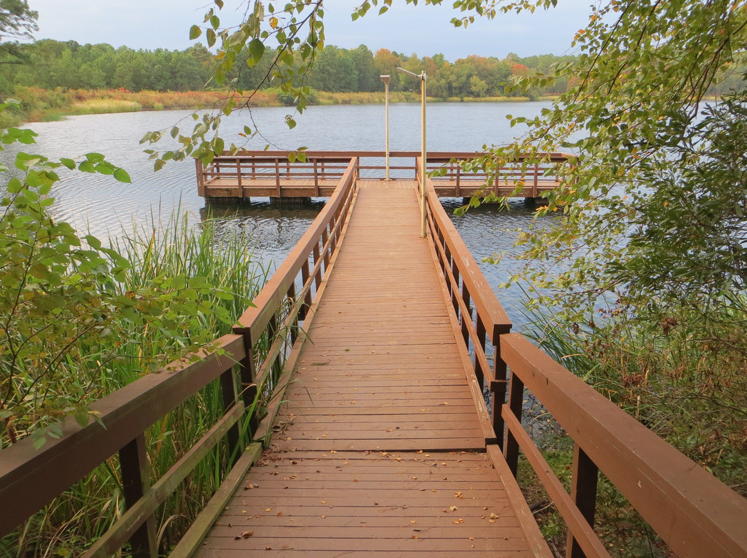 2023年12月Tyler State Park景点攻略-Tyler State Park门票预订|地址|图片-Tyler State ...