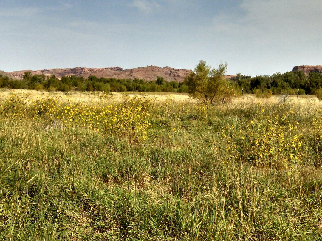 2023年12月Scott Matheson Wetlands Preserve景点攻略-Scott Matheson Wetlands ...