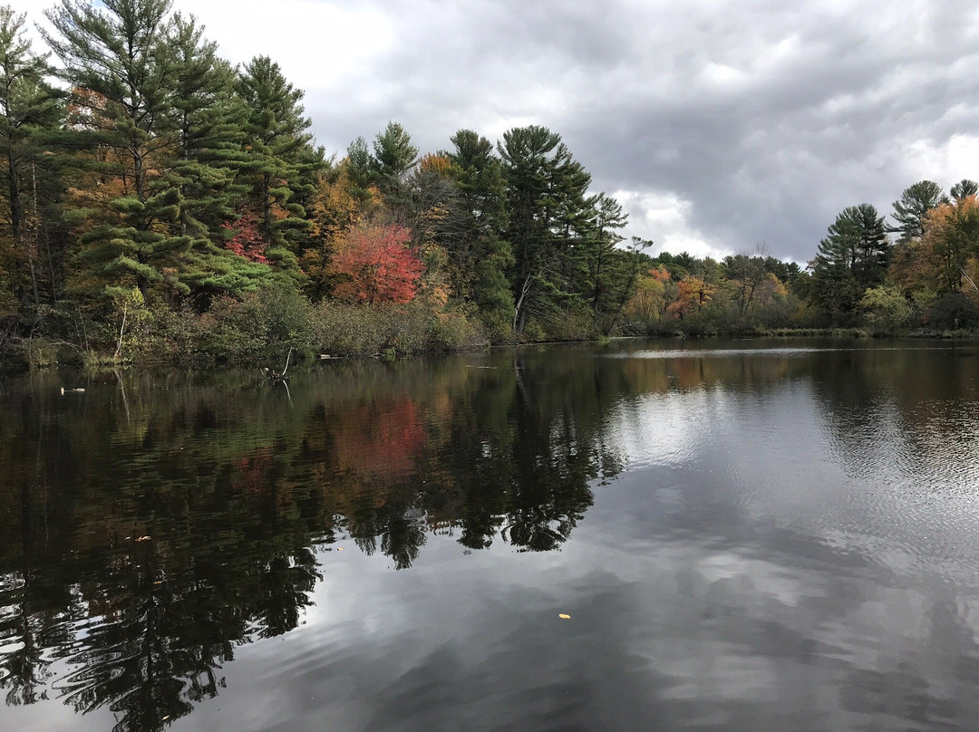2023年12月Lake Wissota State Park景点攻略-Lake Wissota State Park门票预订|地址|图片 ...
