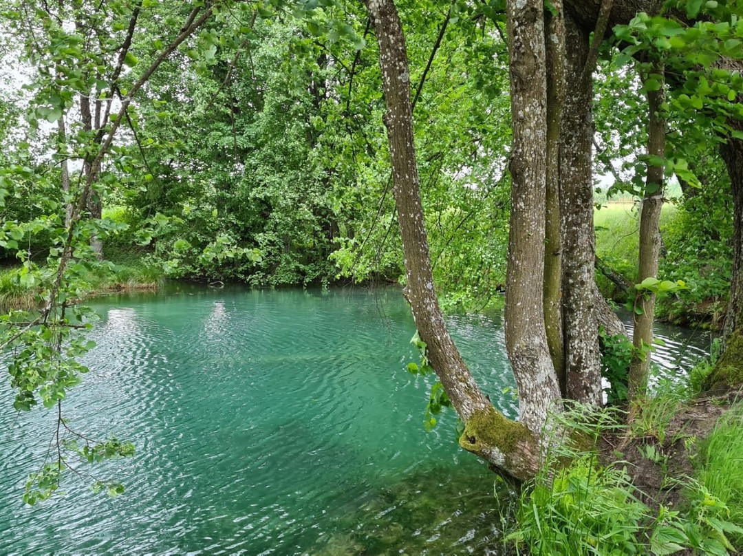 2023年11月Blue Well/ Blue Krynica景点攻略-Blue Well/ Blue Krynica门票预订|地址|图片 ...